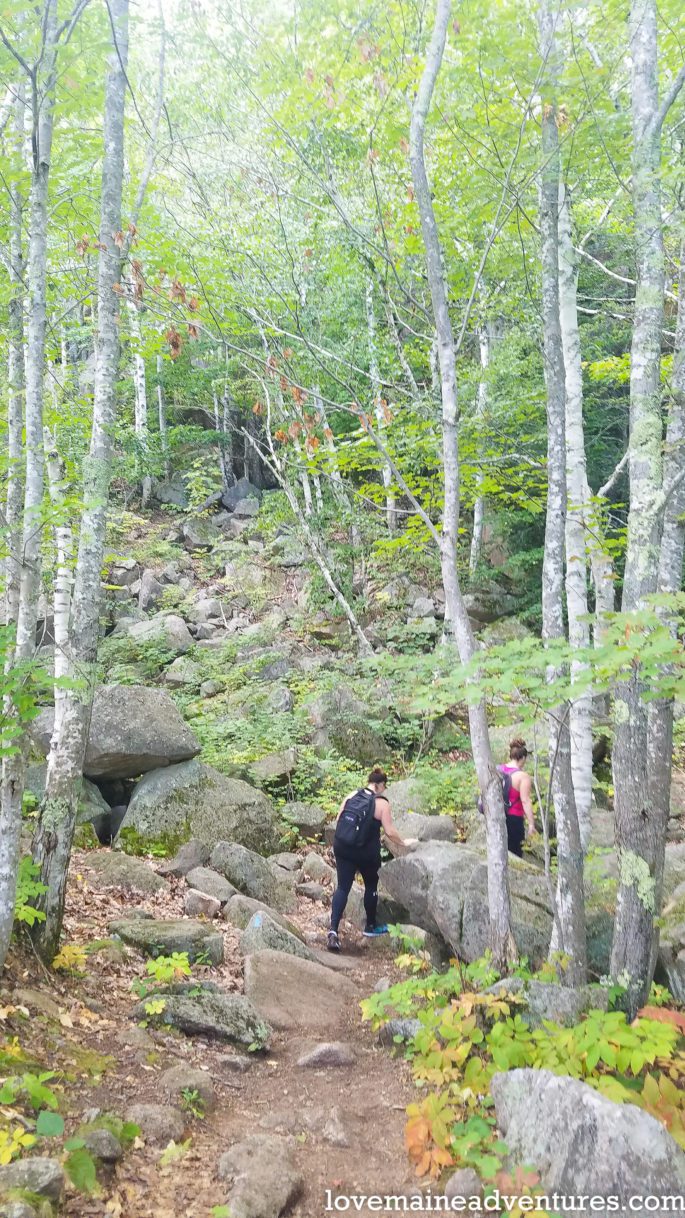 Beginner’s Guide to the Precipice Trail – #lovemaineadventures