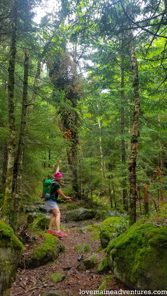 North Brother, a 4,000 footer in Baxter State Park – #lovemaineadventures